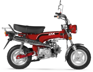 Motoking – Concesionario Oficial